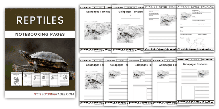 Reptiles Notebooking Pages - NotebookingPages.com