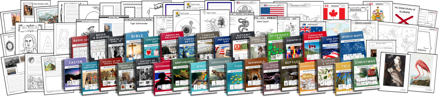 Free Notebooking Pages & QuickStart Guide: Sign Up Now ...