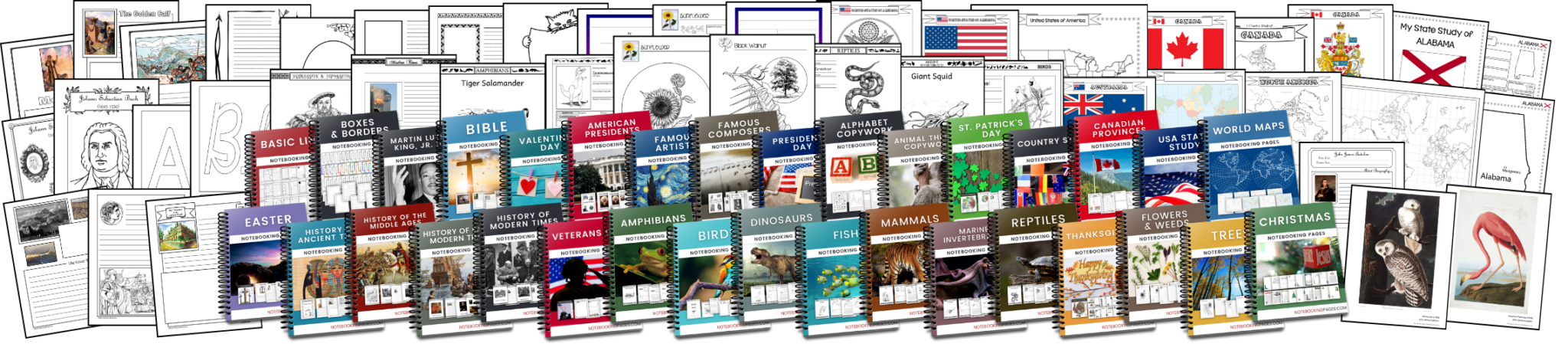 Free Notebooking Pages & QuickStart Guide: Sign Up Now ...