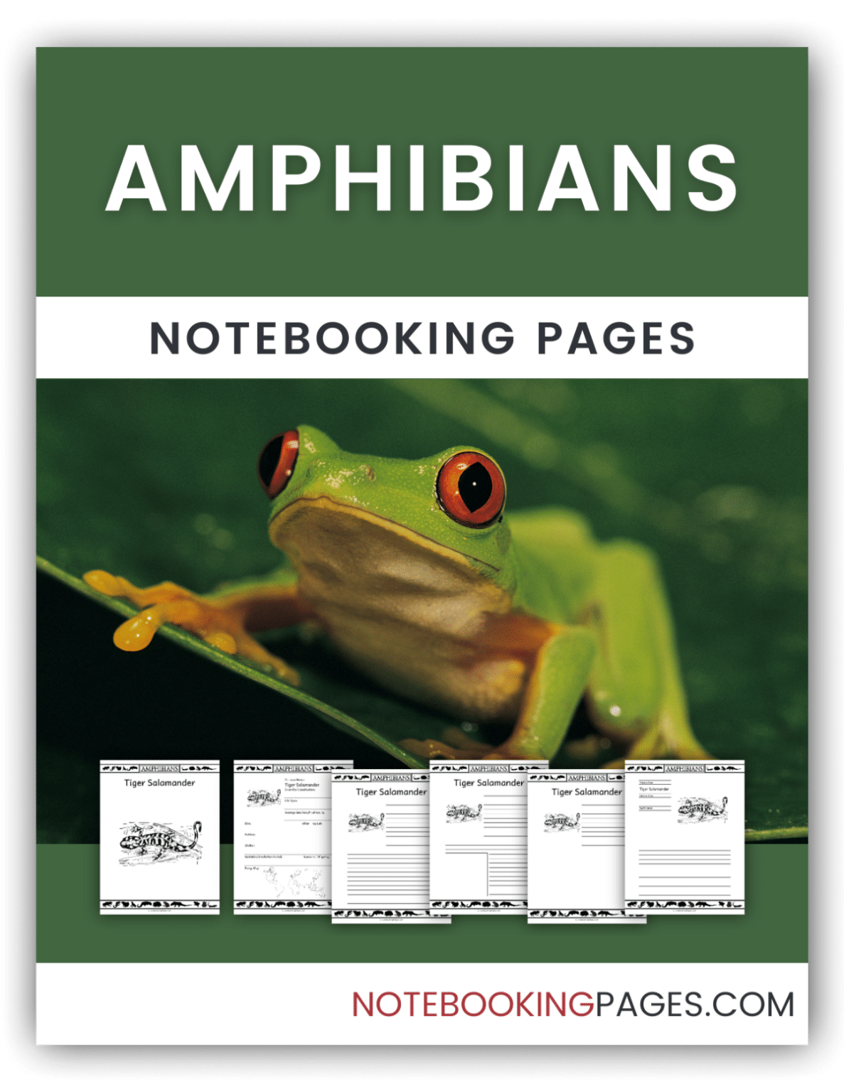 Amphibians Notebooking Pages - NotebookingPages.com