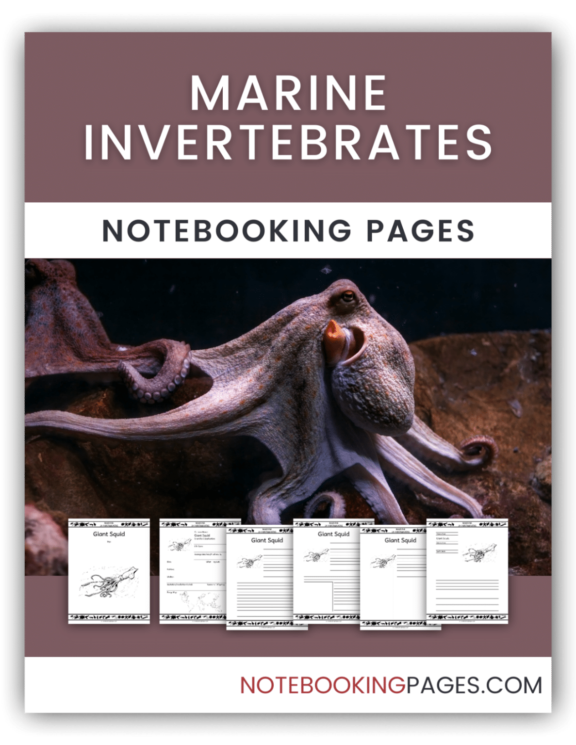 Marine Invertebrates Notebooking Pages - NotebookingPages.com