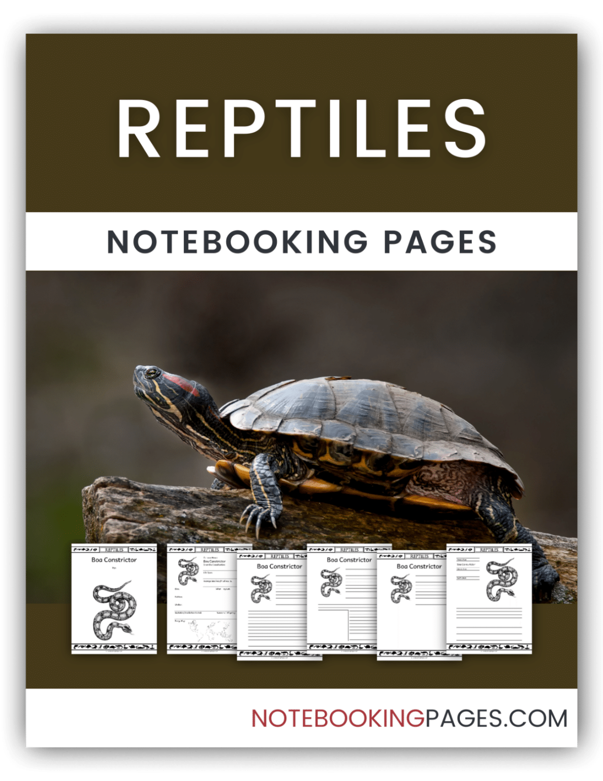 Reptiles Notebooking Pages - NotebookingPages.com